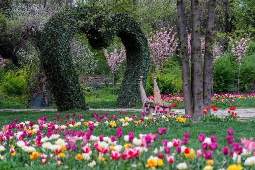 Cele mai frumoase grădini botanice din România, oaze de liniște și de ...